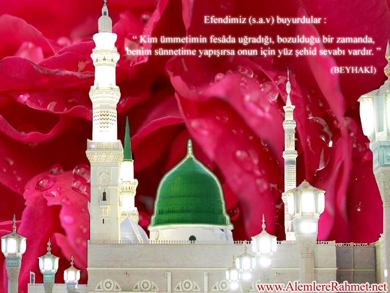 MÜRŞİDİ KAMİL | MUHAMMED TARIK…